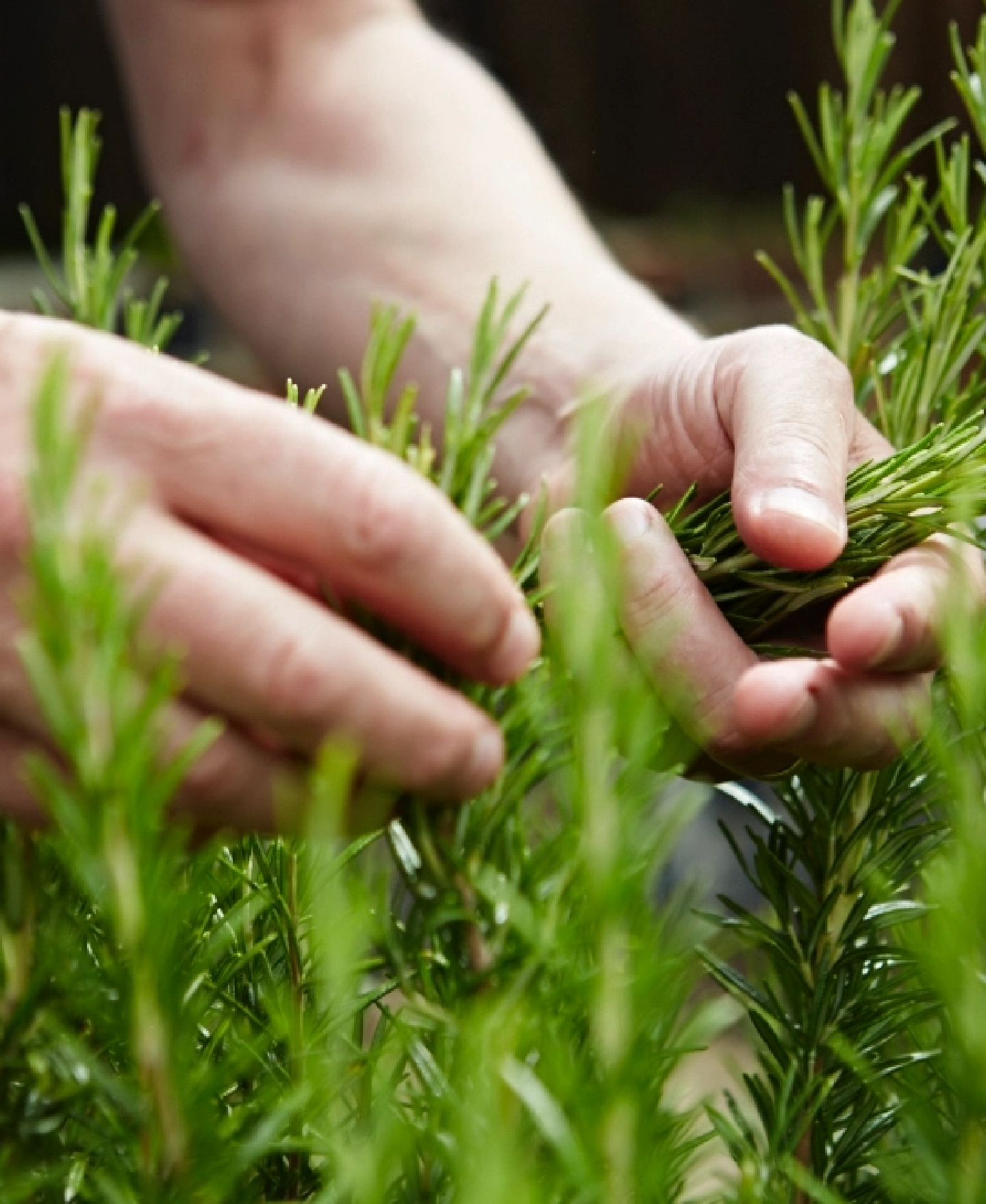 Careers in Hospitality - Geoffrey Harrison Foundation